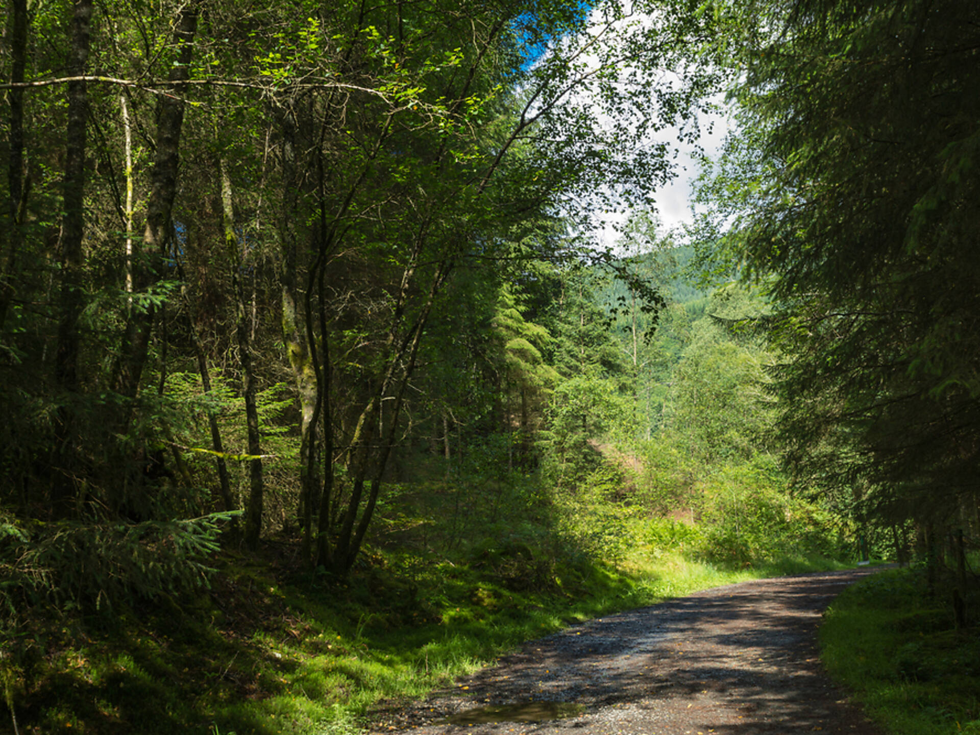 13 of the Best Fairytale Forests in the UK
