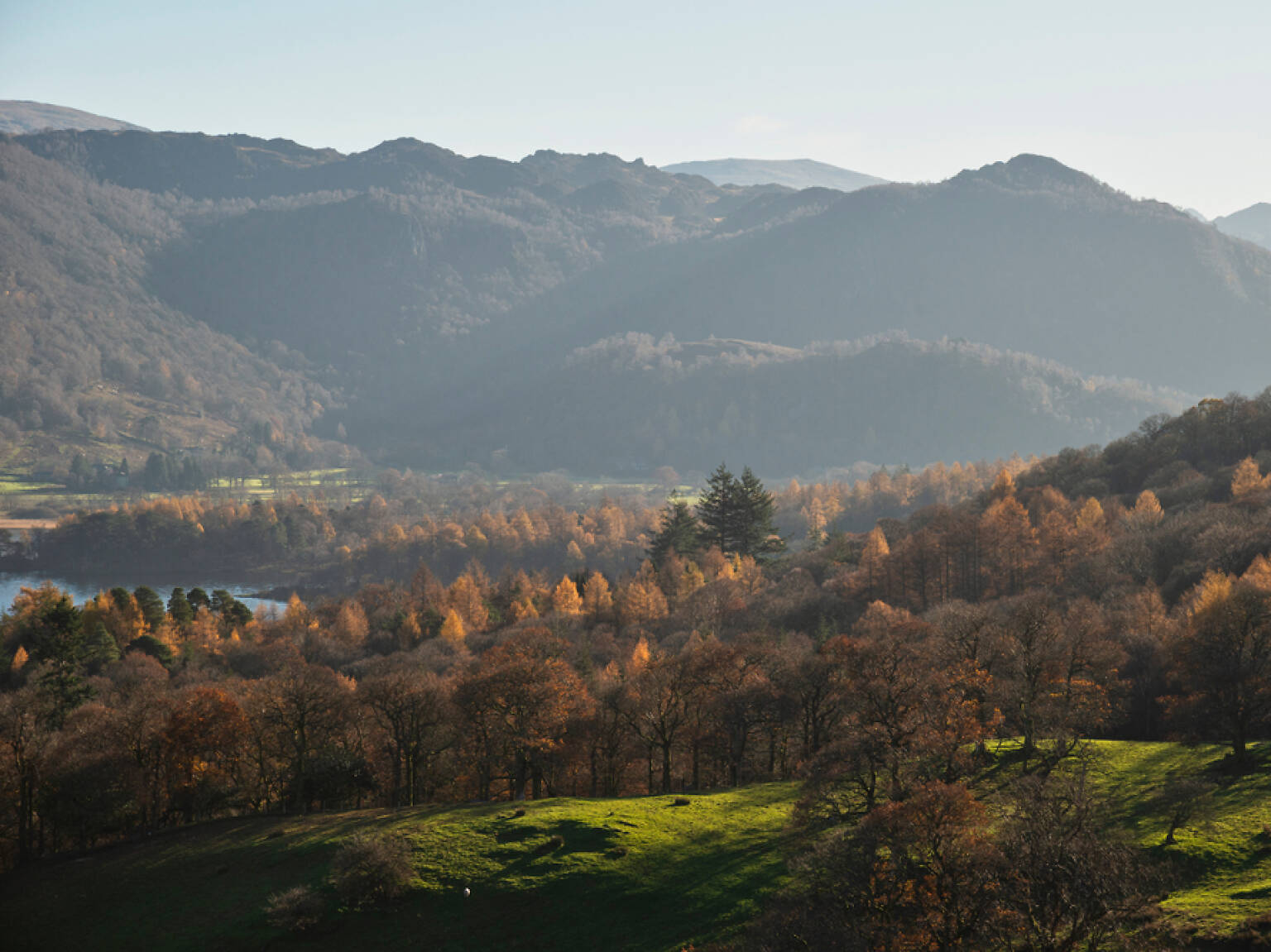 13 Best Fairytale Forests in the UK