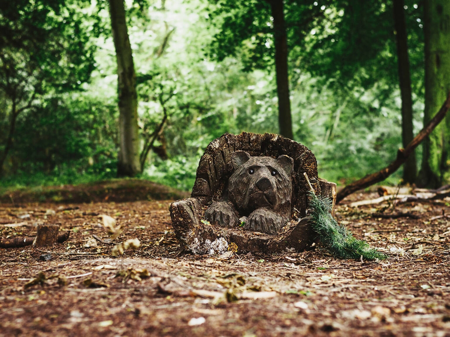 7 Forests Near London for Wholesome Woodland Walks