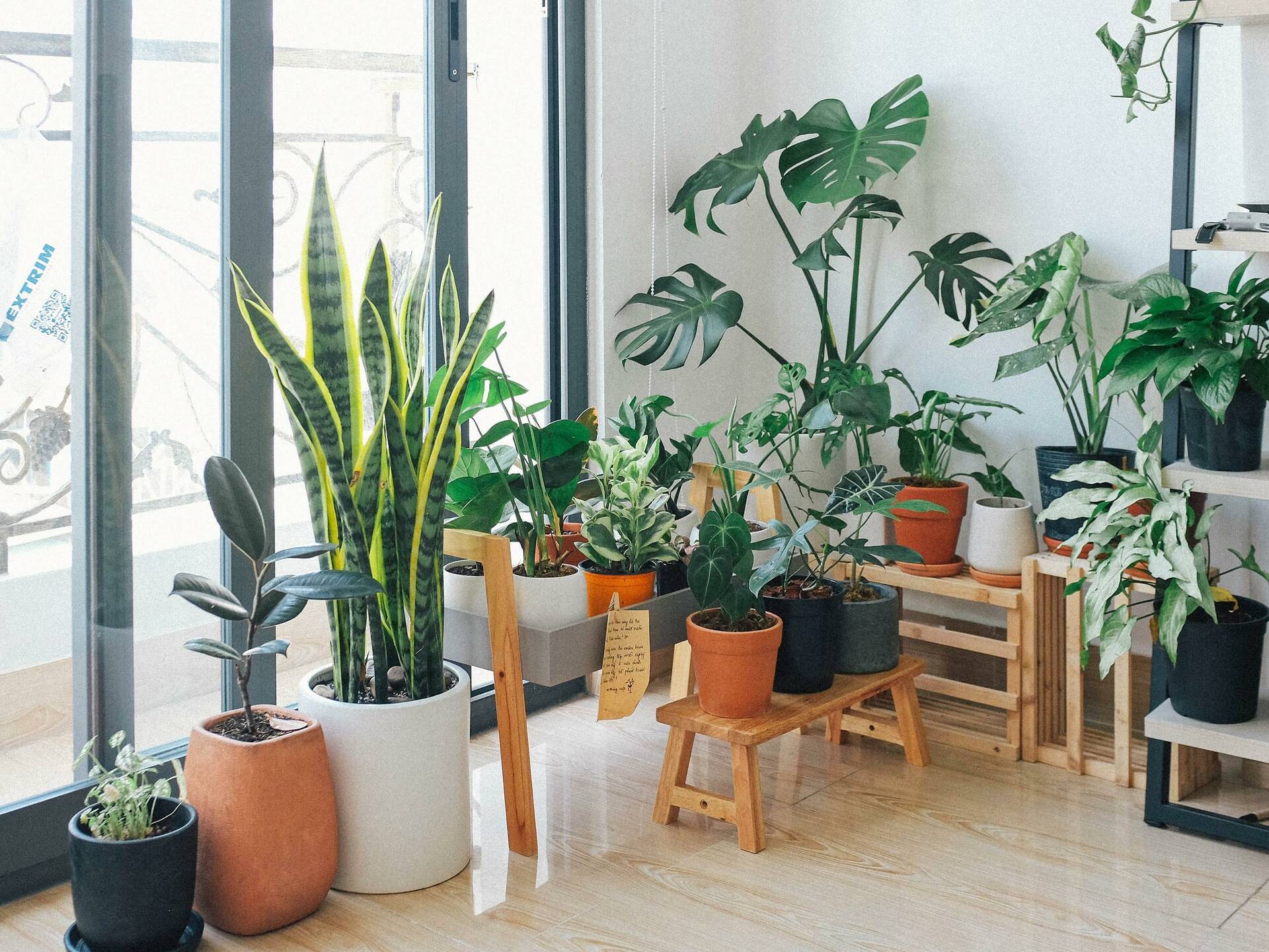 Pascoe Vale area guide | A local's guide to Pascoe Vale