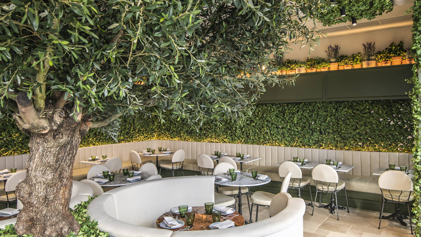 Como Garden | Restaurants in Kensington, London
