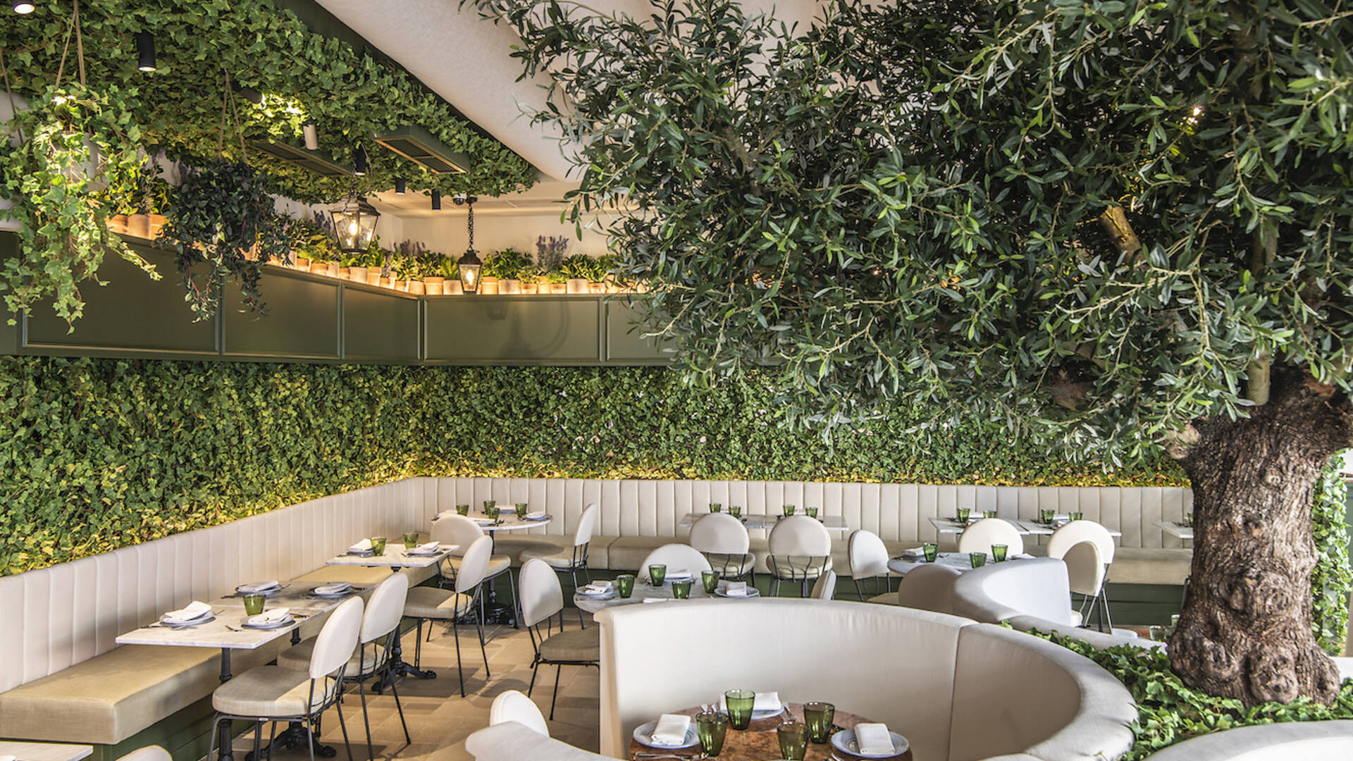 Como Garden | Restaurants in Kensington, London