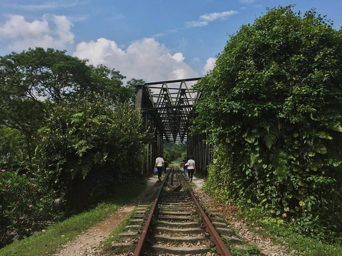 The Ultimate Guide To The Rail Corridor In Singapore