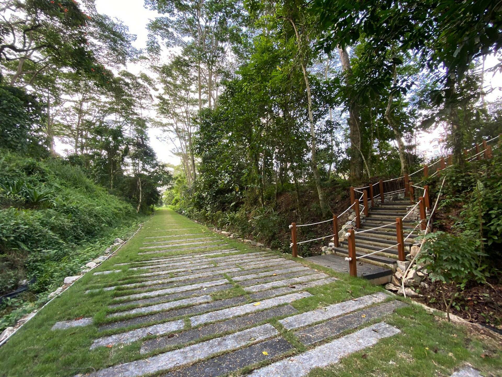 The Ultimate Guide To Pasir Ris Park