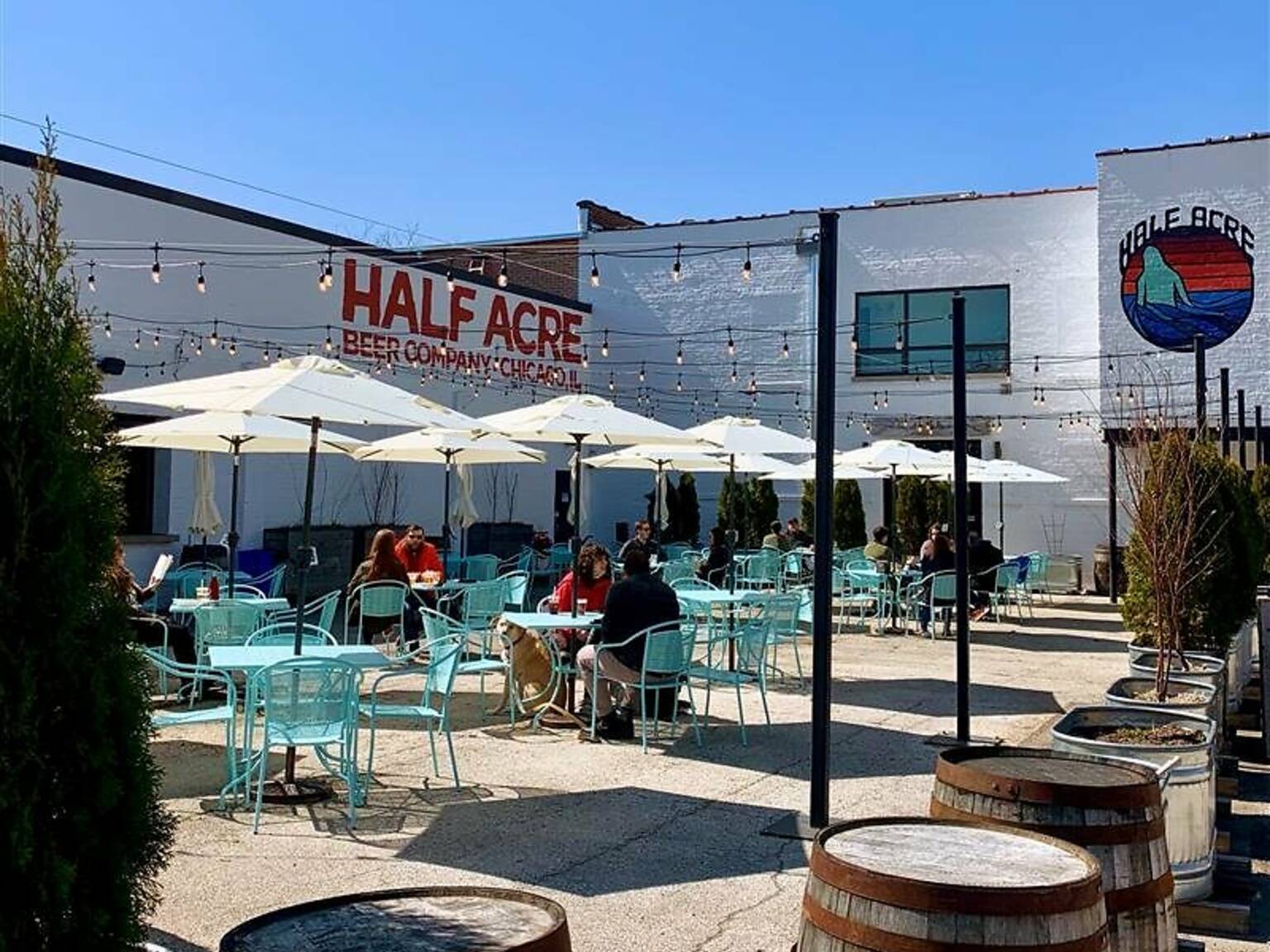 40 Best Chicago Breweries For Local Beer and Cider