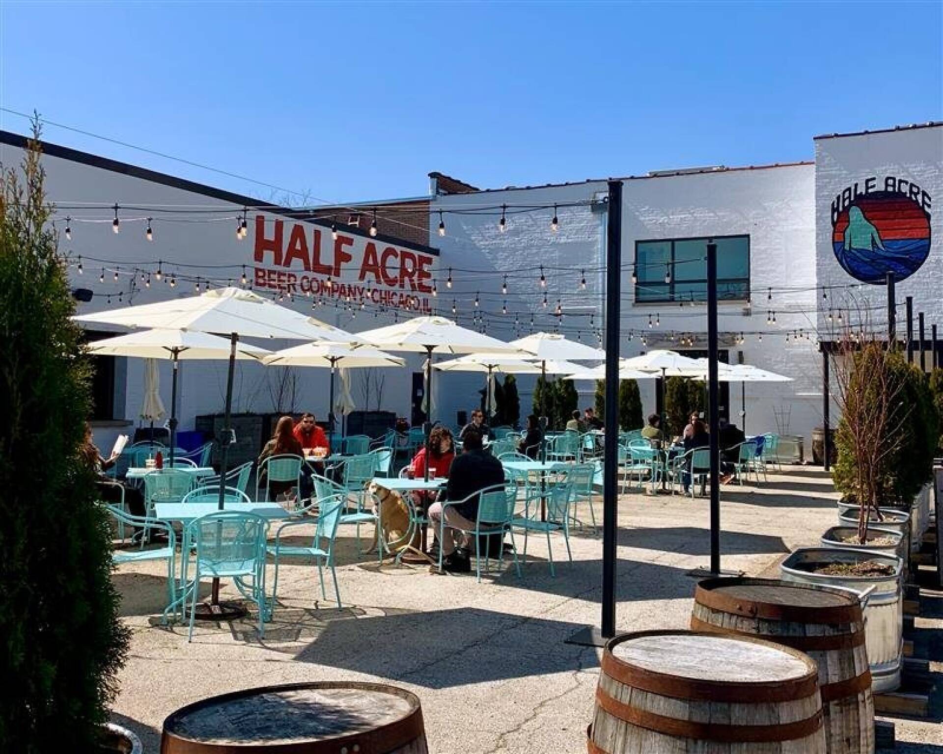 40 Best Chicago Breweries For Local Beer and Cider