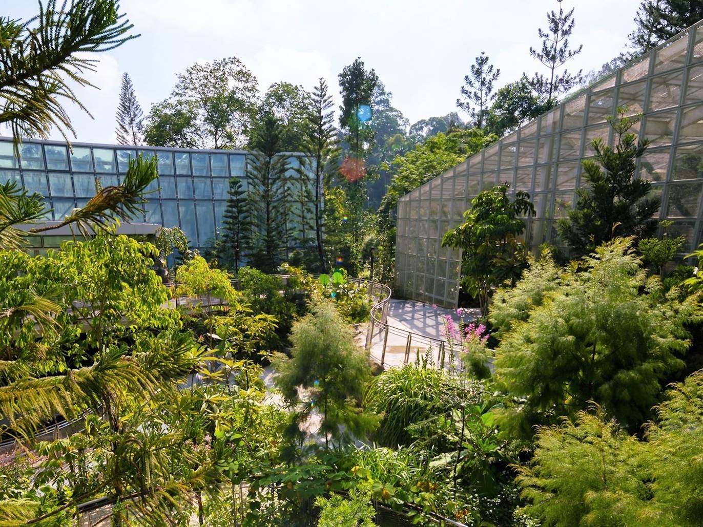 The Ultimate Guide To The Singapore Botanic Gardens