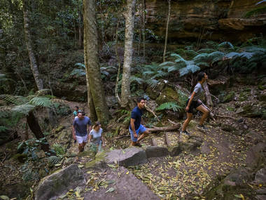 The best bushwalks in the Blue Mountains