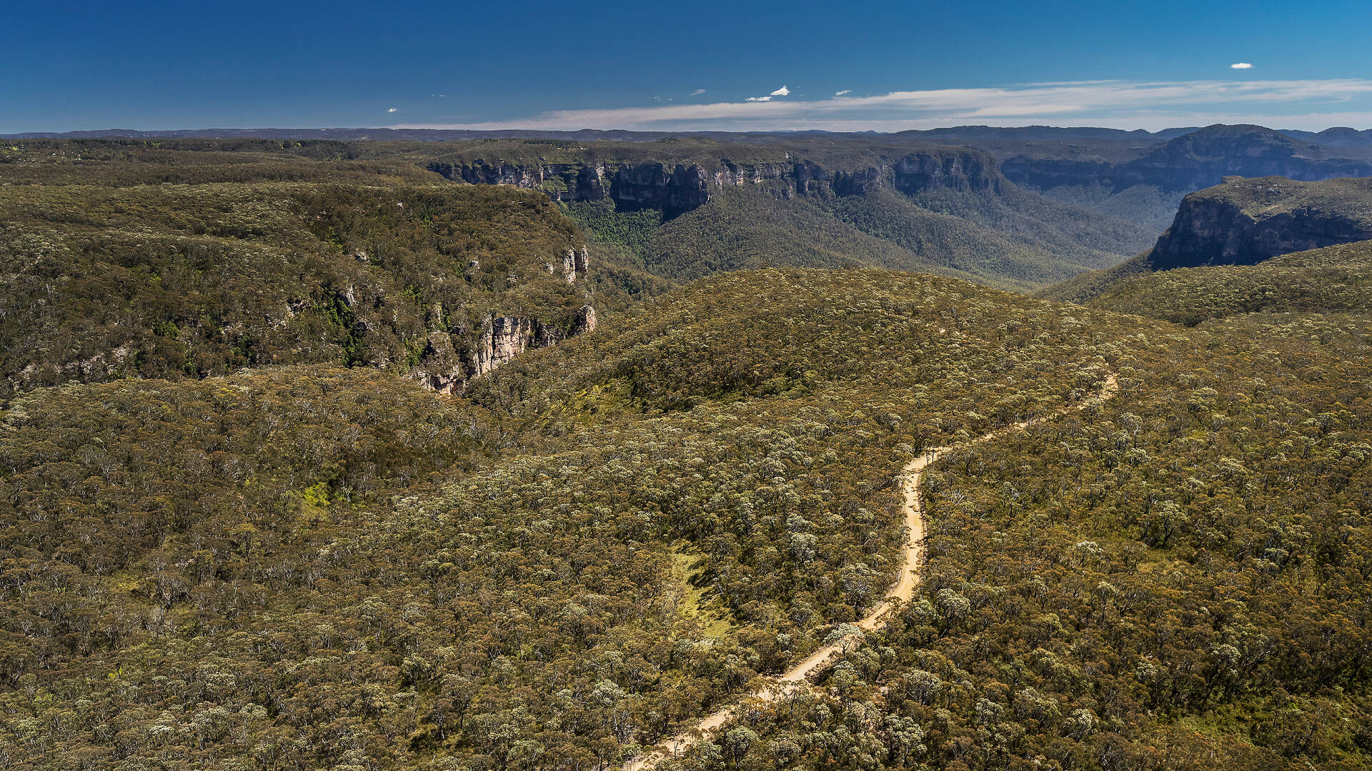 The 7 best bushwalks in the Blue Mountains | Time Out Sydney