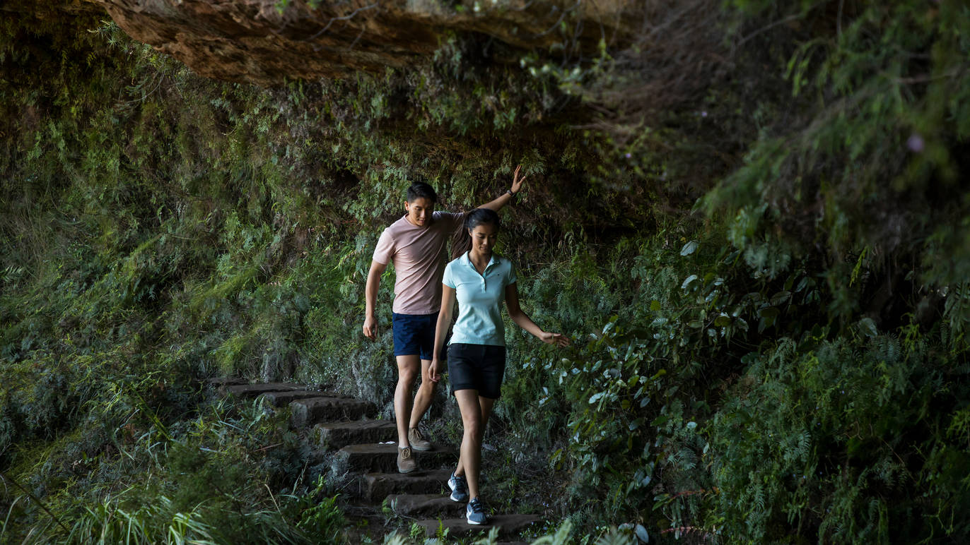 The best bushwalks in the Blue Mountains