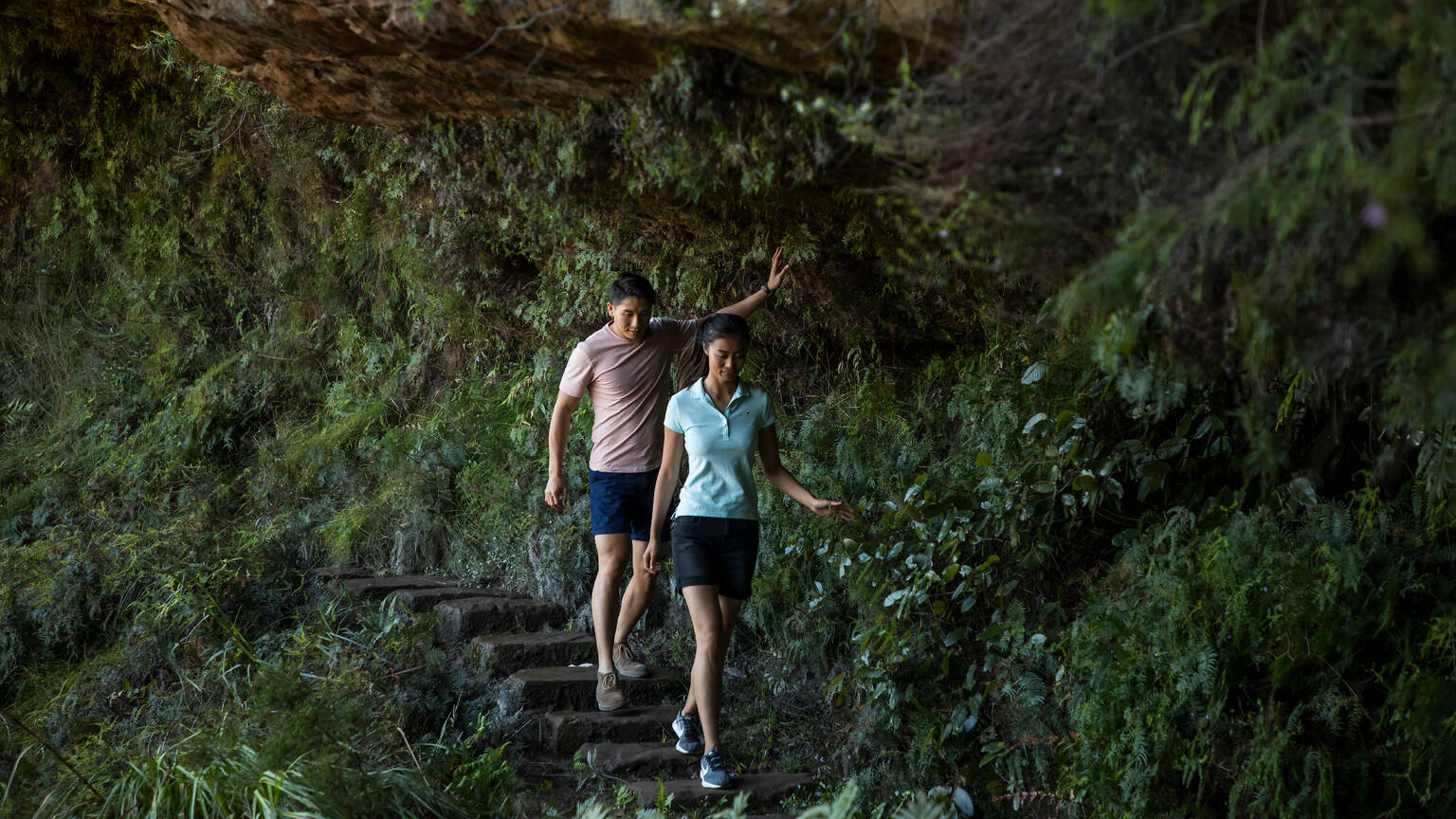 The best bushwalks in the Blue Mountains