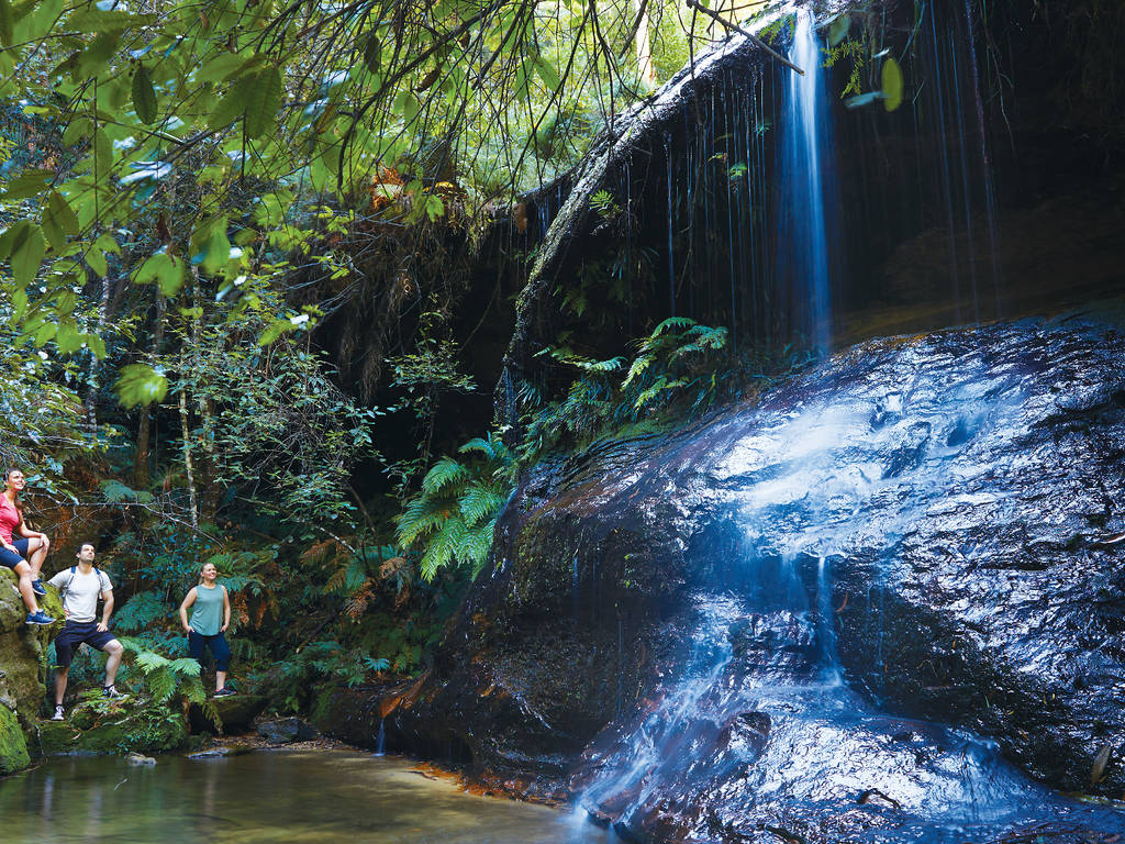 The best bushwalks in the Blue Mountains