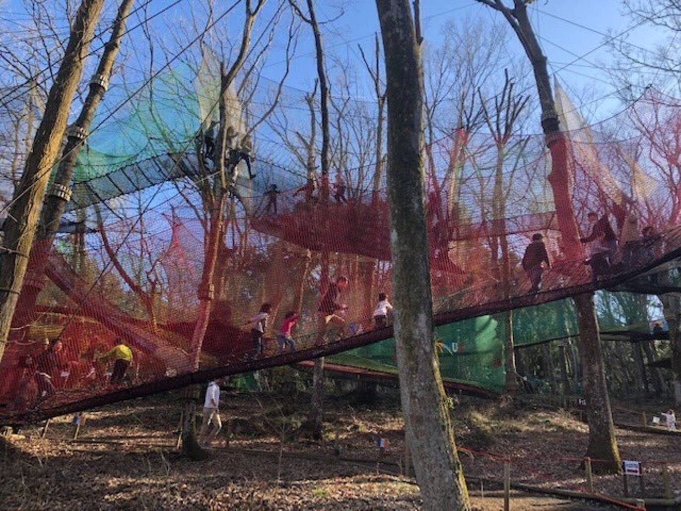 8 best outdoor adventure parks near Tokyo | Time Out Tokyo