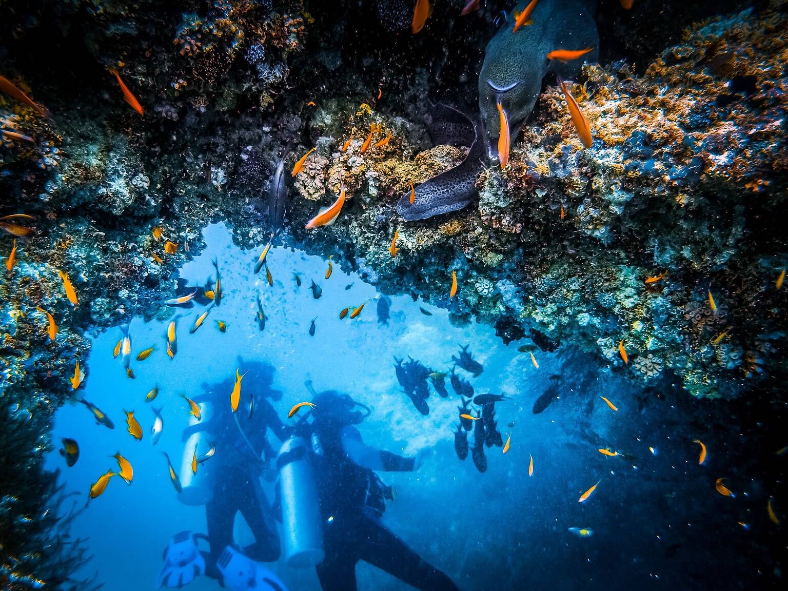 12 Best Diving Spots In Southeast Asia
