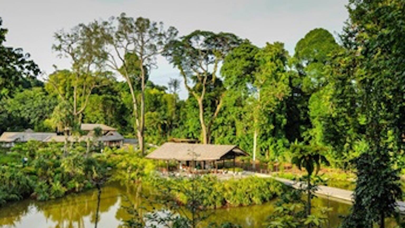 The Ultimate Guide To The Singapore Botanic Gardens