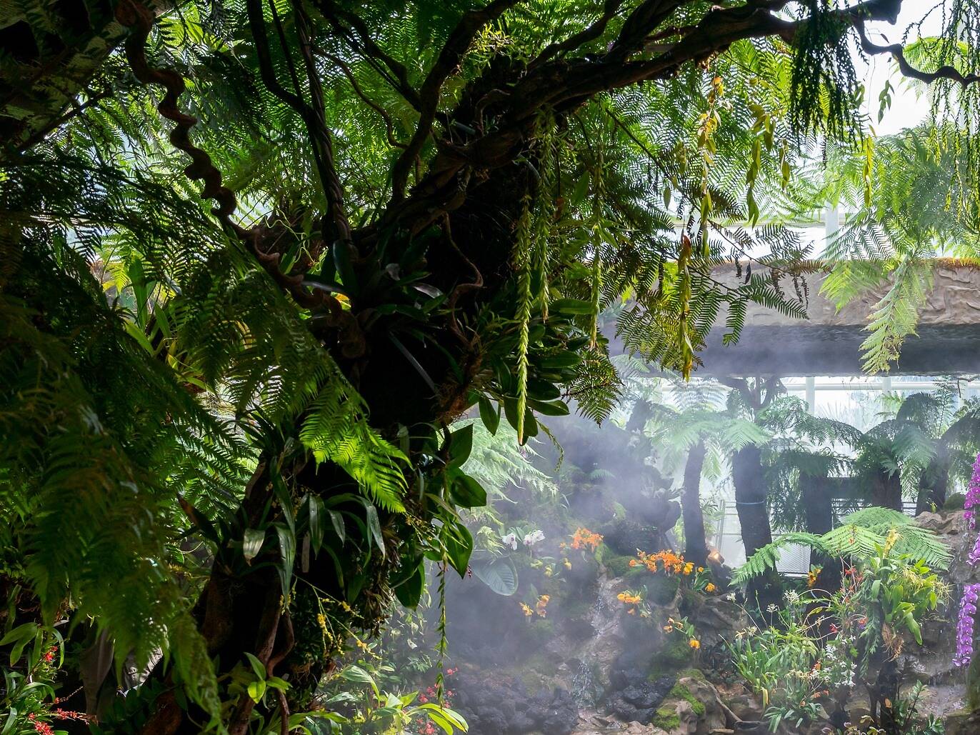 The Ultimate Guide To Jurong Lake Gardens