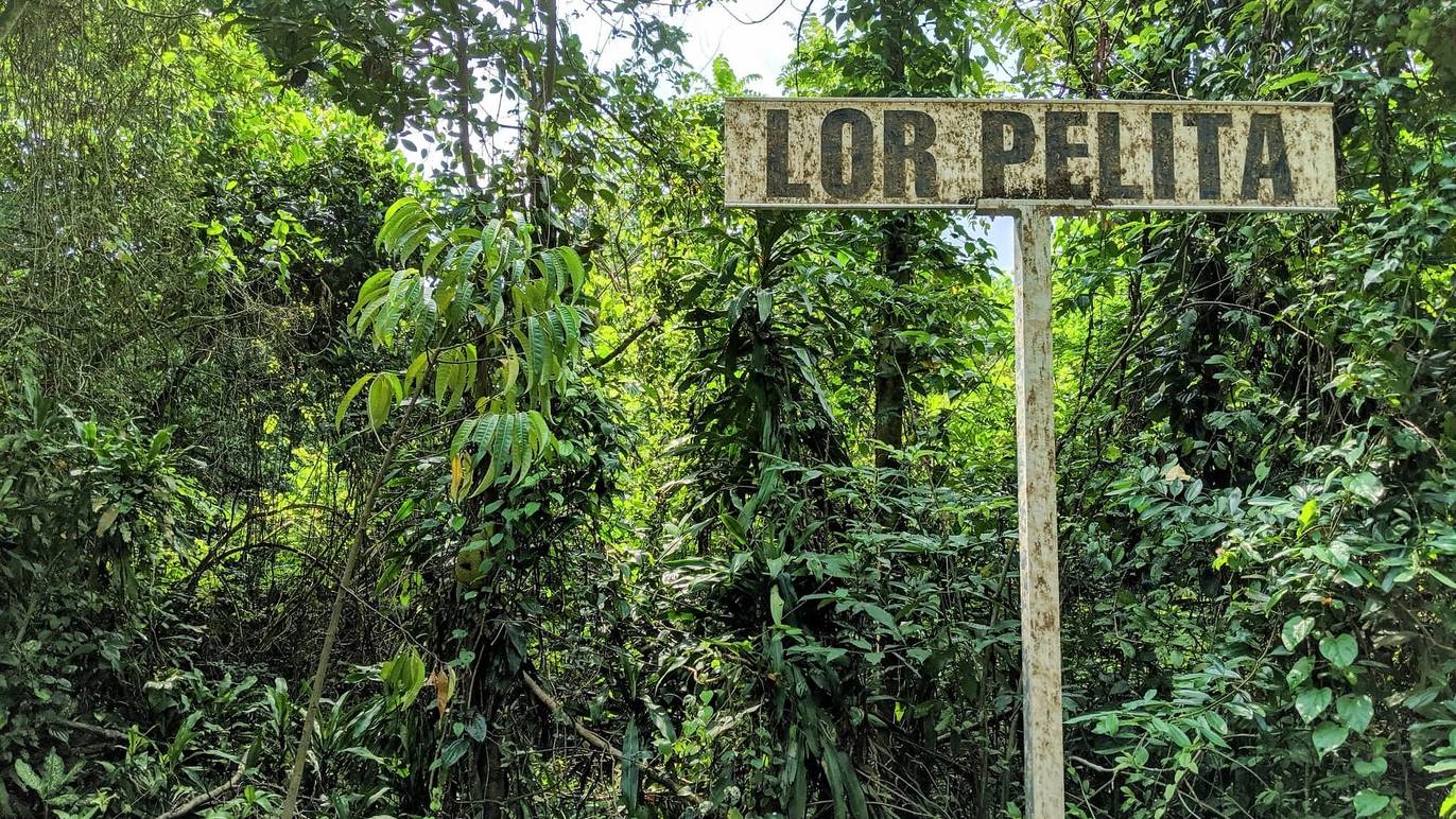 Explore old ruins and spot elusive wildlife at Thomson Nature Park