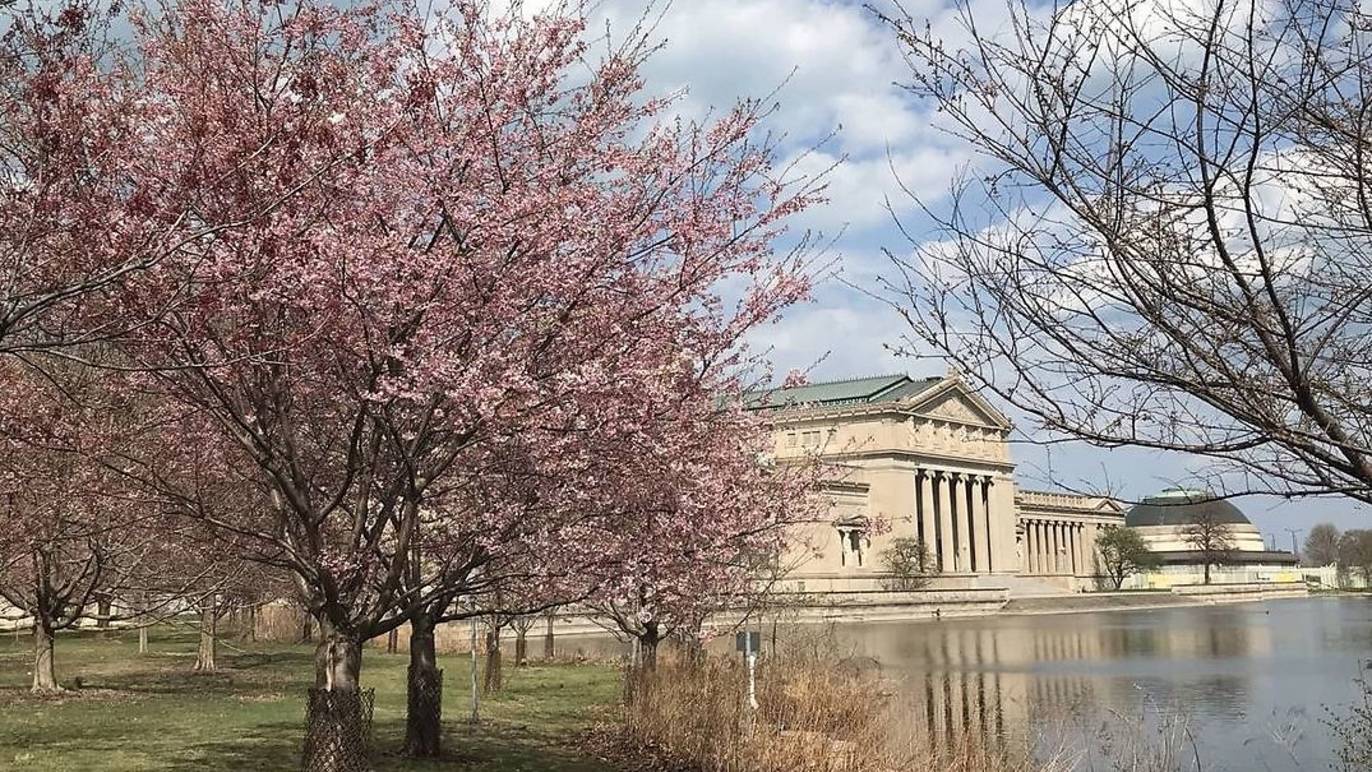 The Absolute Best Things To Do In Chicago Today