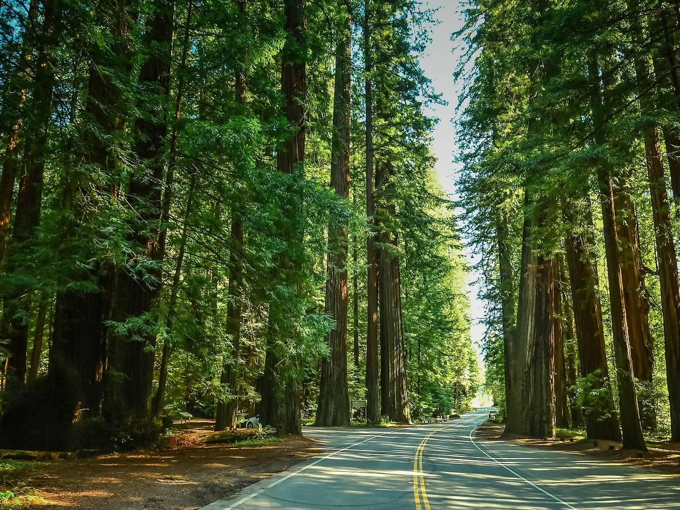11 Beautiful California State Parks to Explore This Summer