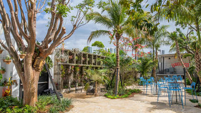 Cervecería La Tropical pairs excellent beer with Cuban nostalgia