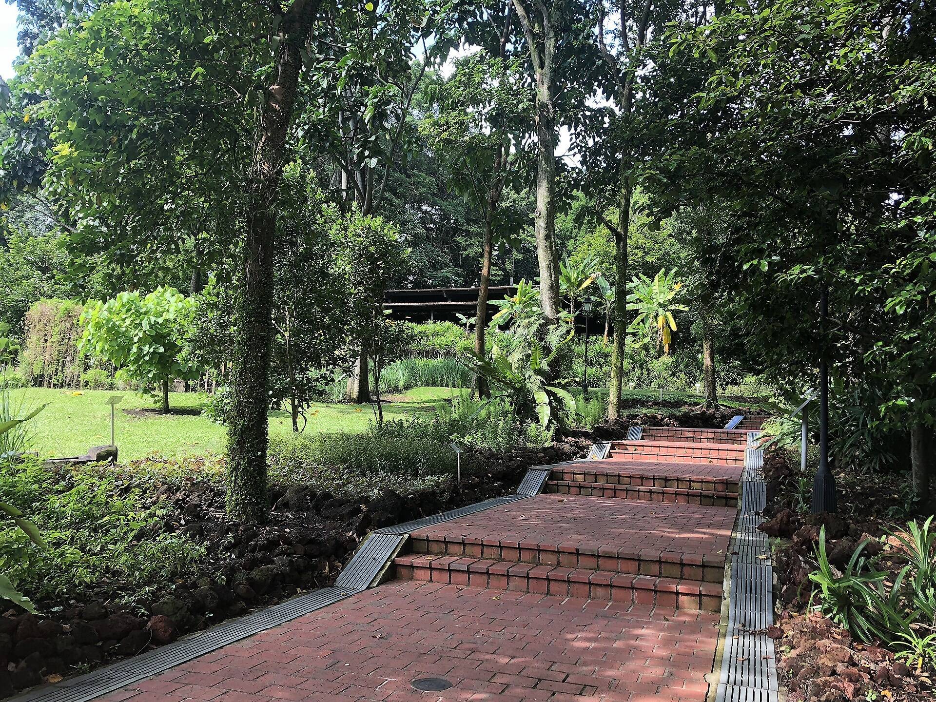 The Ultimate Guide To Fort Canning Park