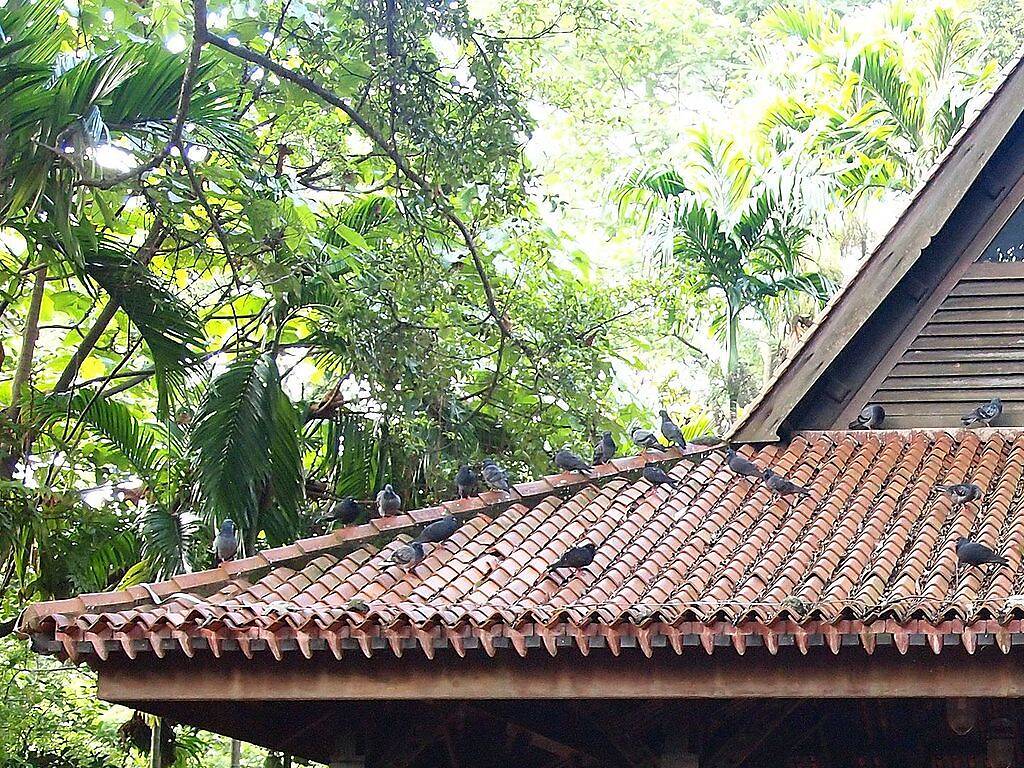 The Ultimate Guide To Fort Canning Park