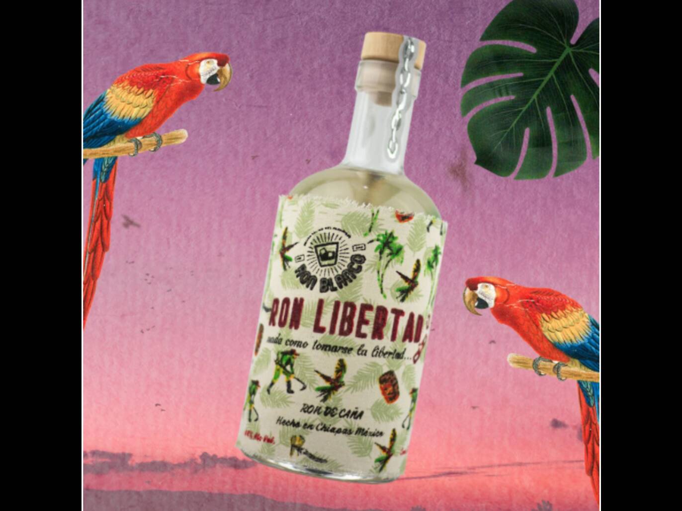 Prueba el ron mexicano, te decimos dónde comprarlo en la CDMX