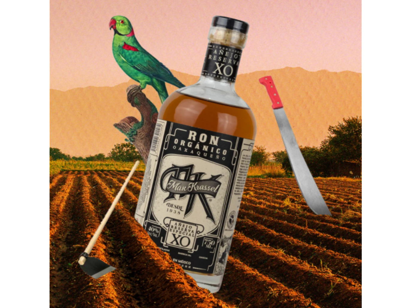 Prueba el ron mexicano, te decimos dónde comprarlo en la CDMX