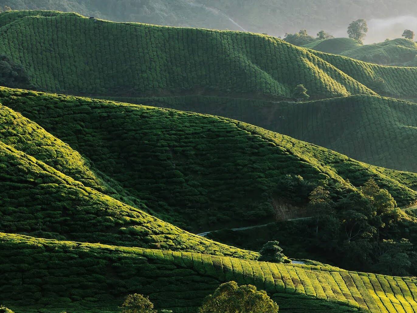 10 Cool Weather Destinations in Southeast Asia