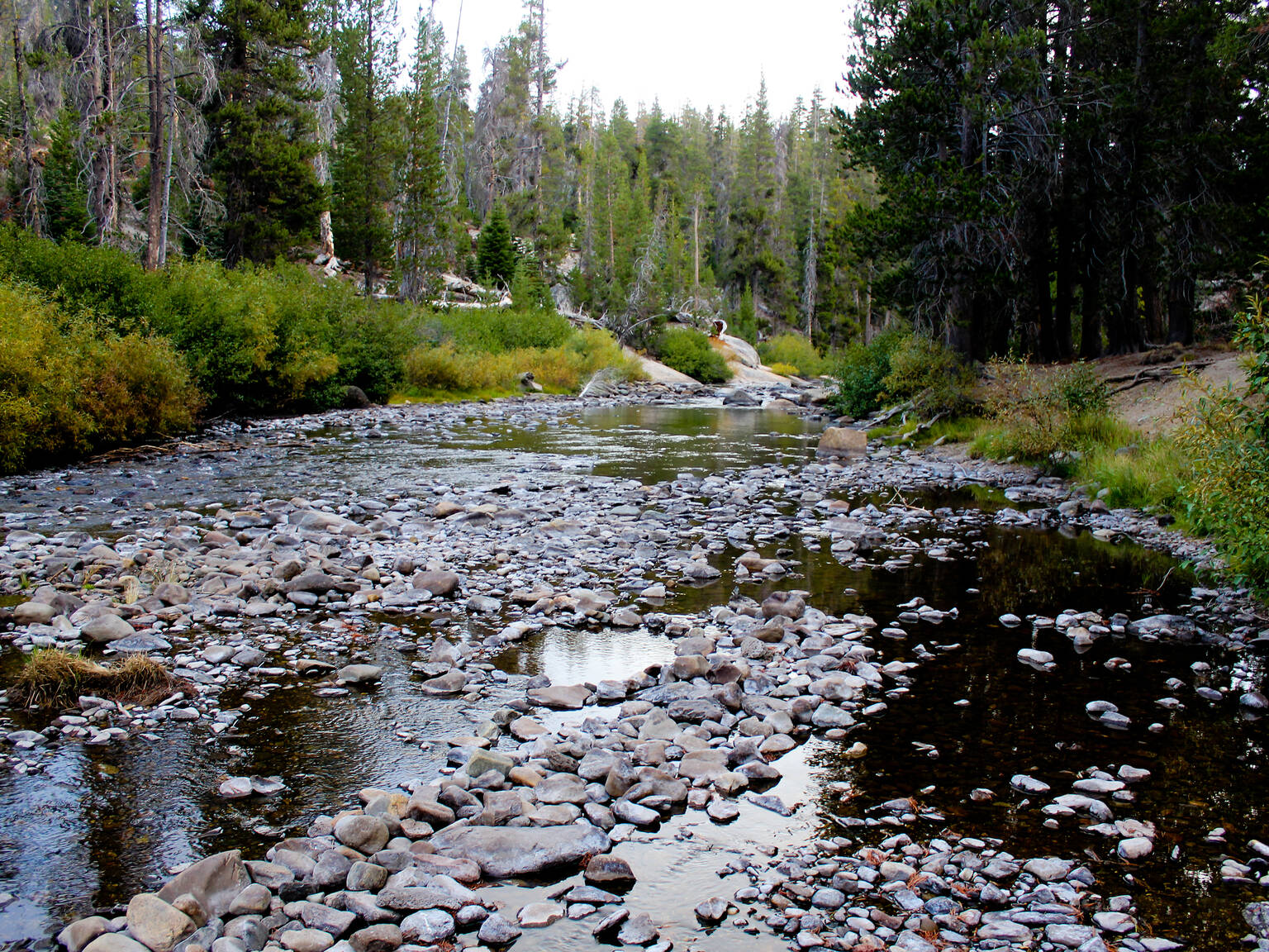 Best Camping in California | 19 Places to Camp Throughout the State