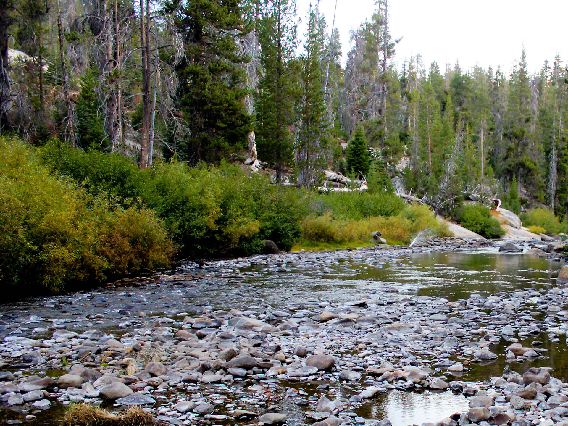 Best Camping in California | 19 Places to Camp Throughout the State