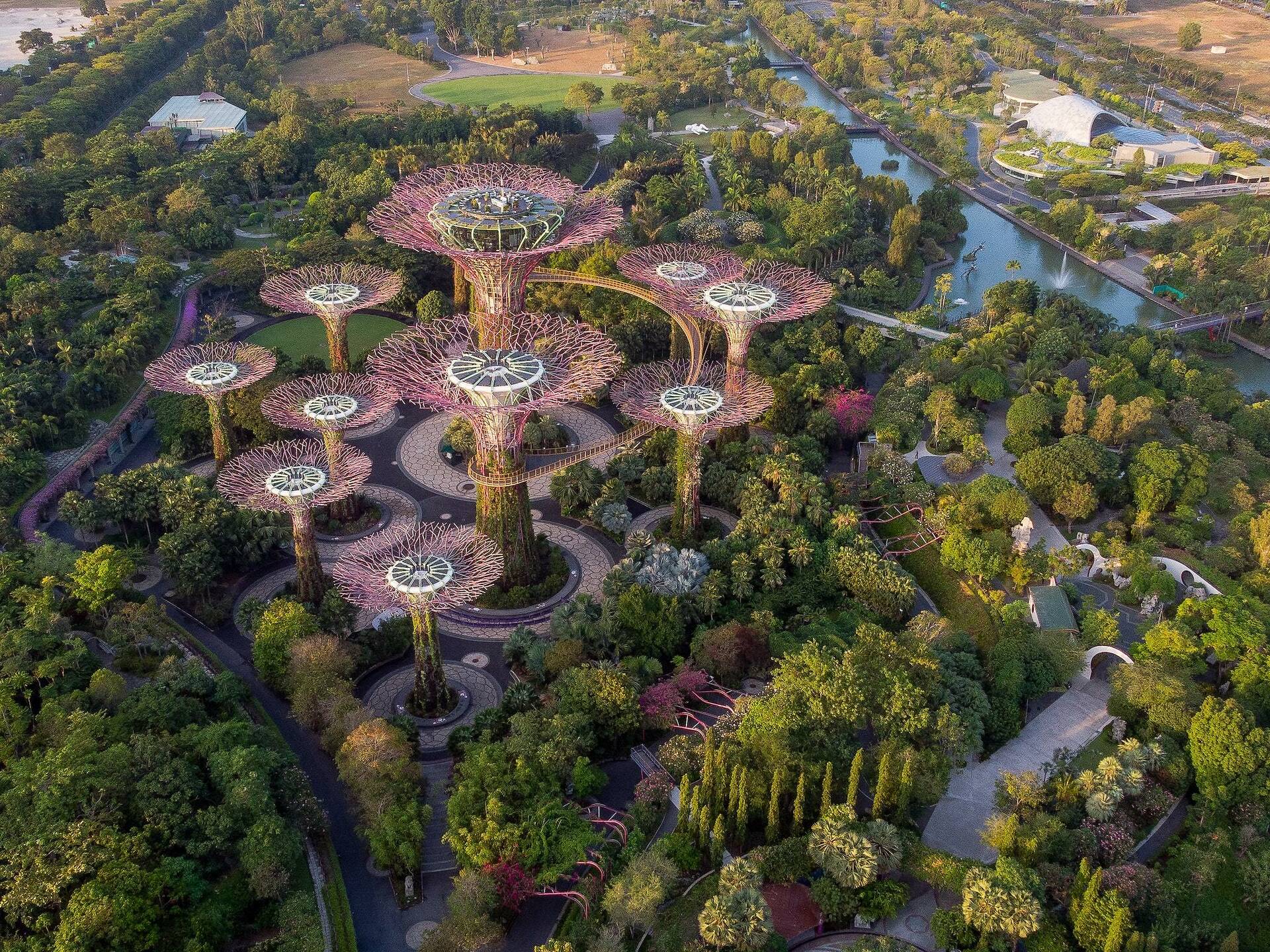 The Ultimate Guide To Jurong Lake Gardens