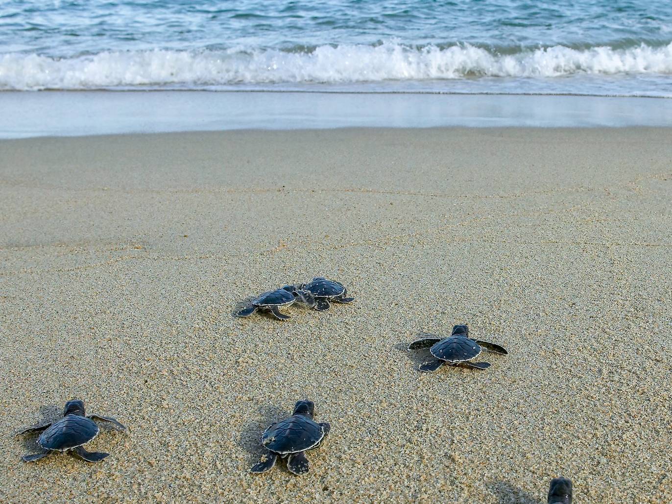 Marquelia, un rincón escondido en la costa de Guerrero