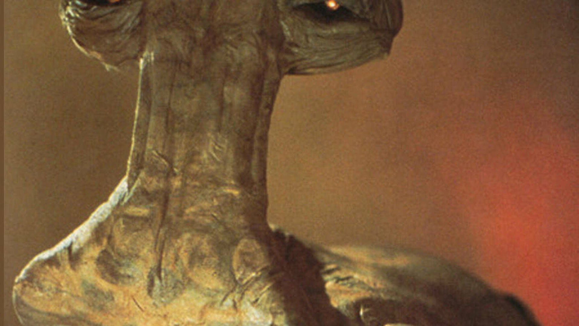 Best Star Wars Characters | 62 Iconic Star Wars Characters