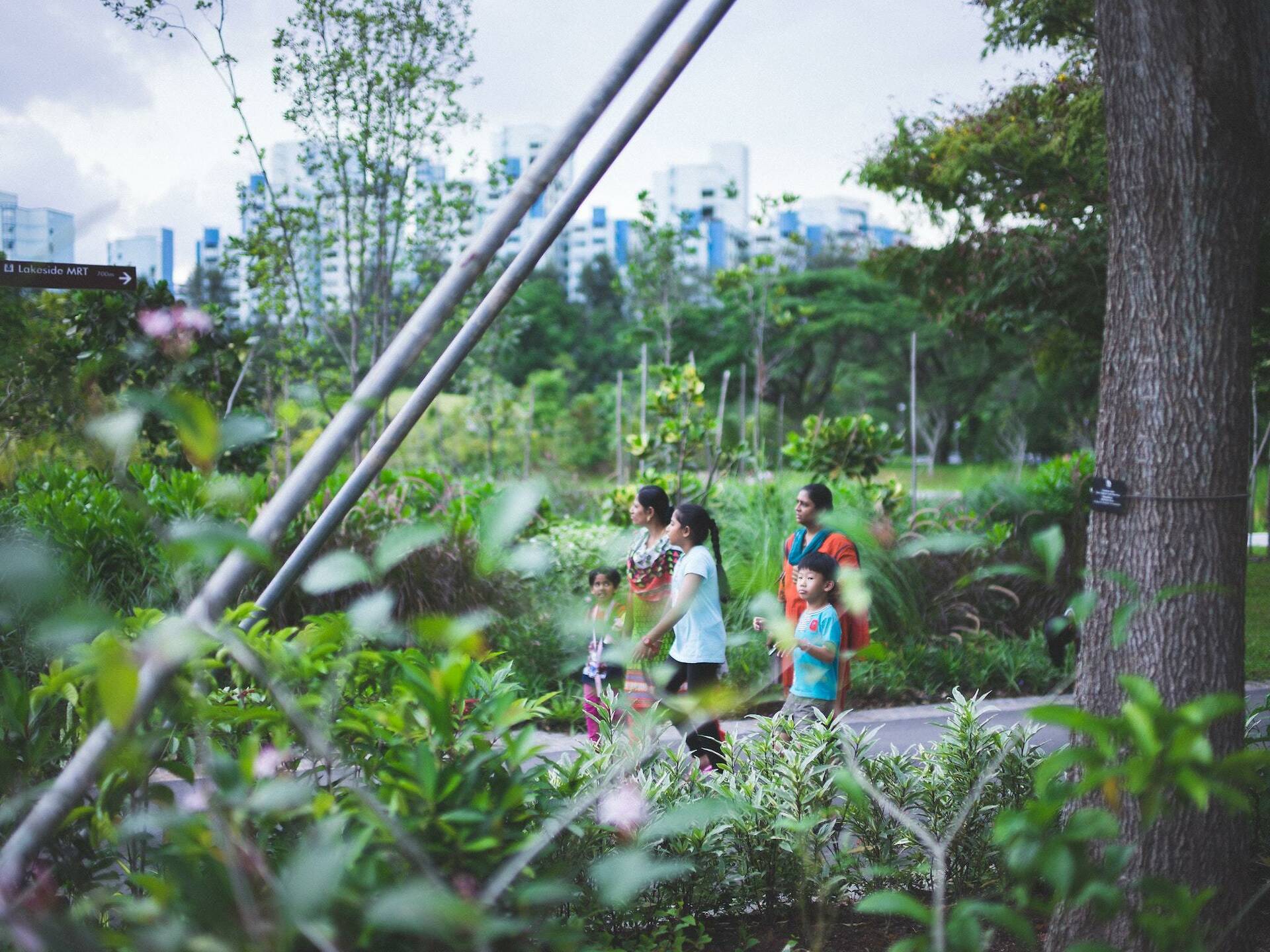 The Ultimate Guide To Jurong Lake Gardens