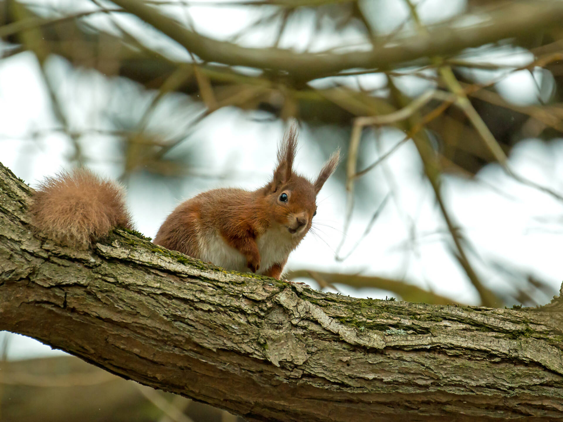 7 Places to See Cute Animals and Wonderful Wildlife in the UK