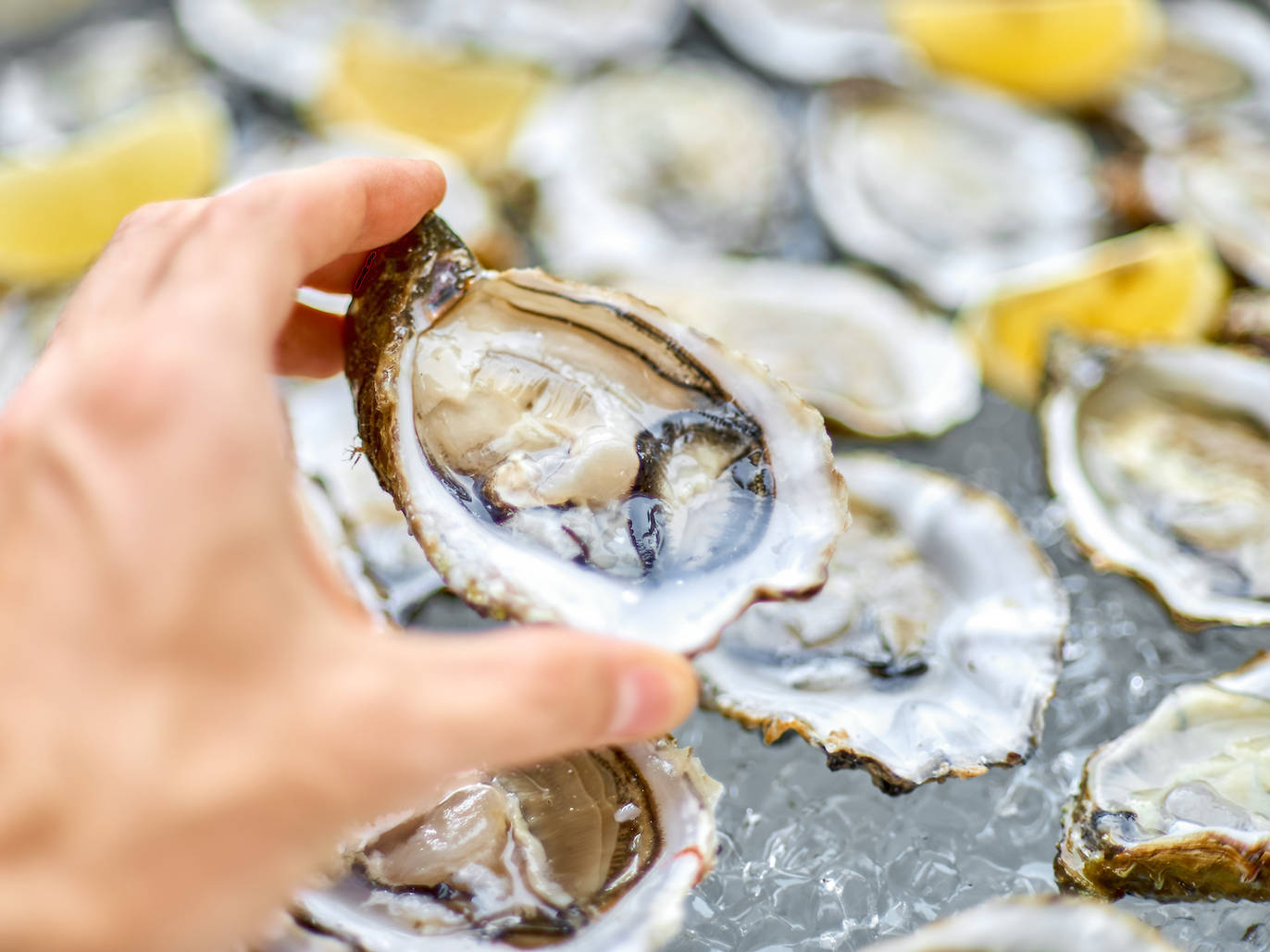 12 Best Seafood Restaurants in Atlanta for Fabulous Fresh Fish