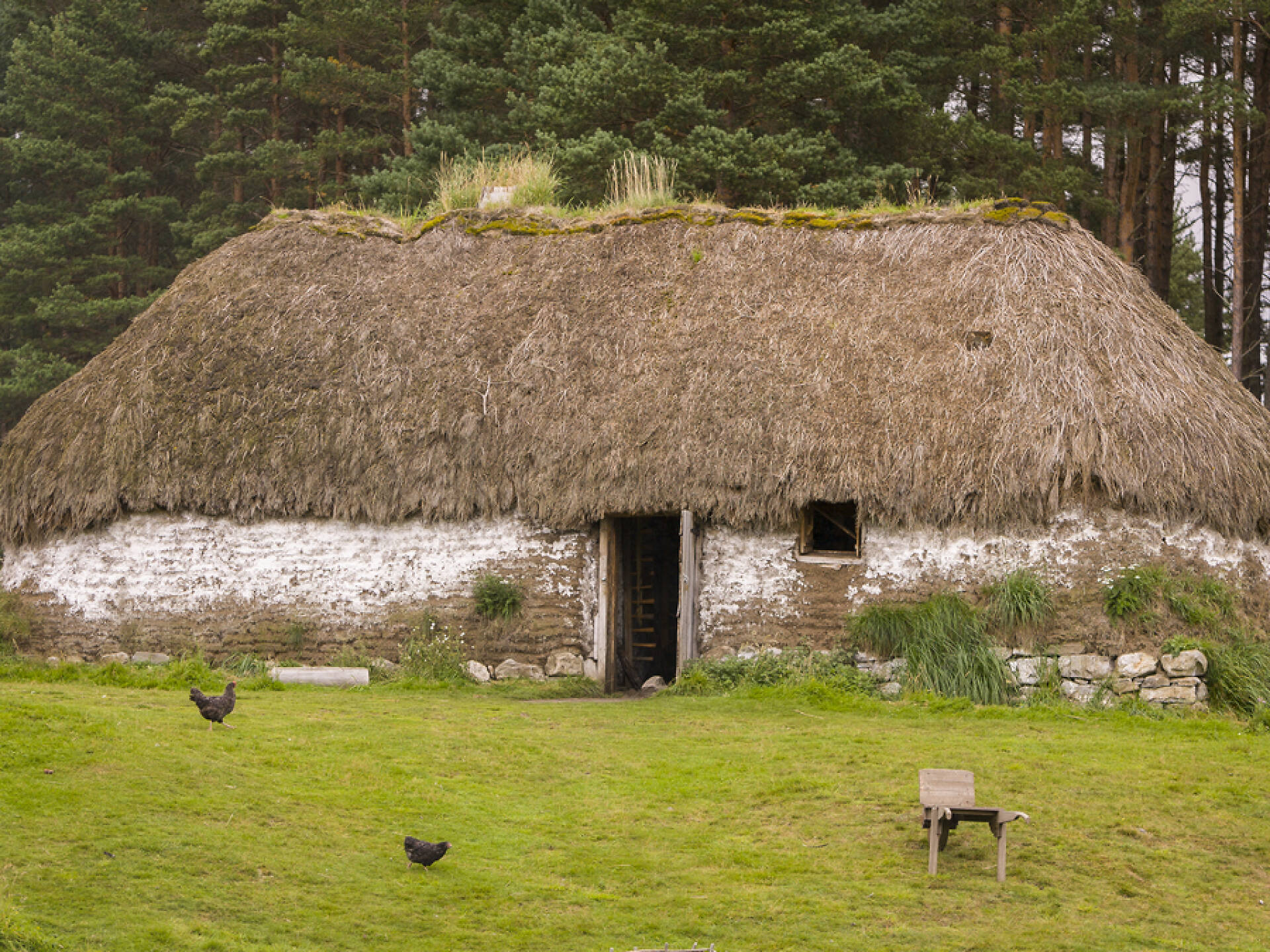 10 Immersive Living Museums You Should Visit in the UK For 2025