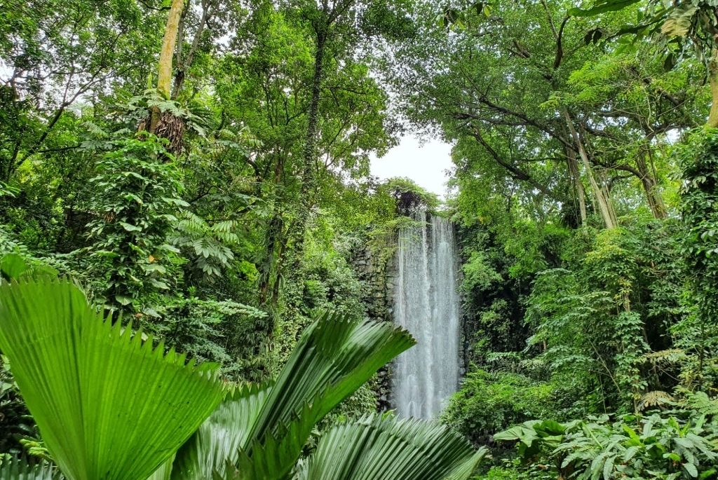 5 Best Waterfalls In Singapore