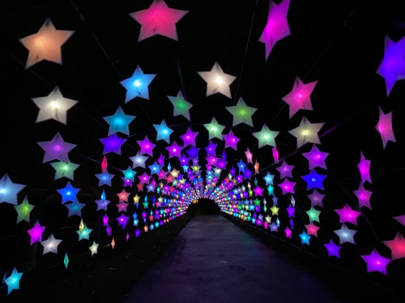 November 2021 Events Calendar for Los Angeles to Start the Holidays