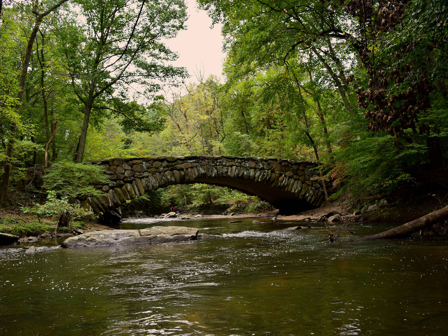 15 Best Things To Do Outside in Washington, D.C.