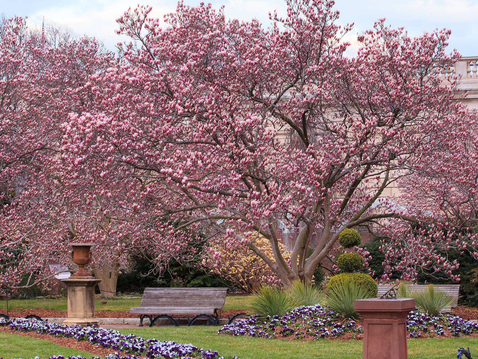 The best things to do outside in Washington, D.C.