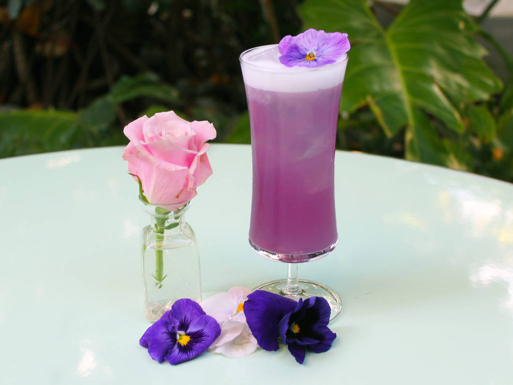 10 Miami Cocktail Experiences Everyone Should Have