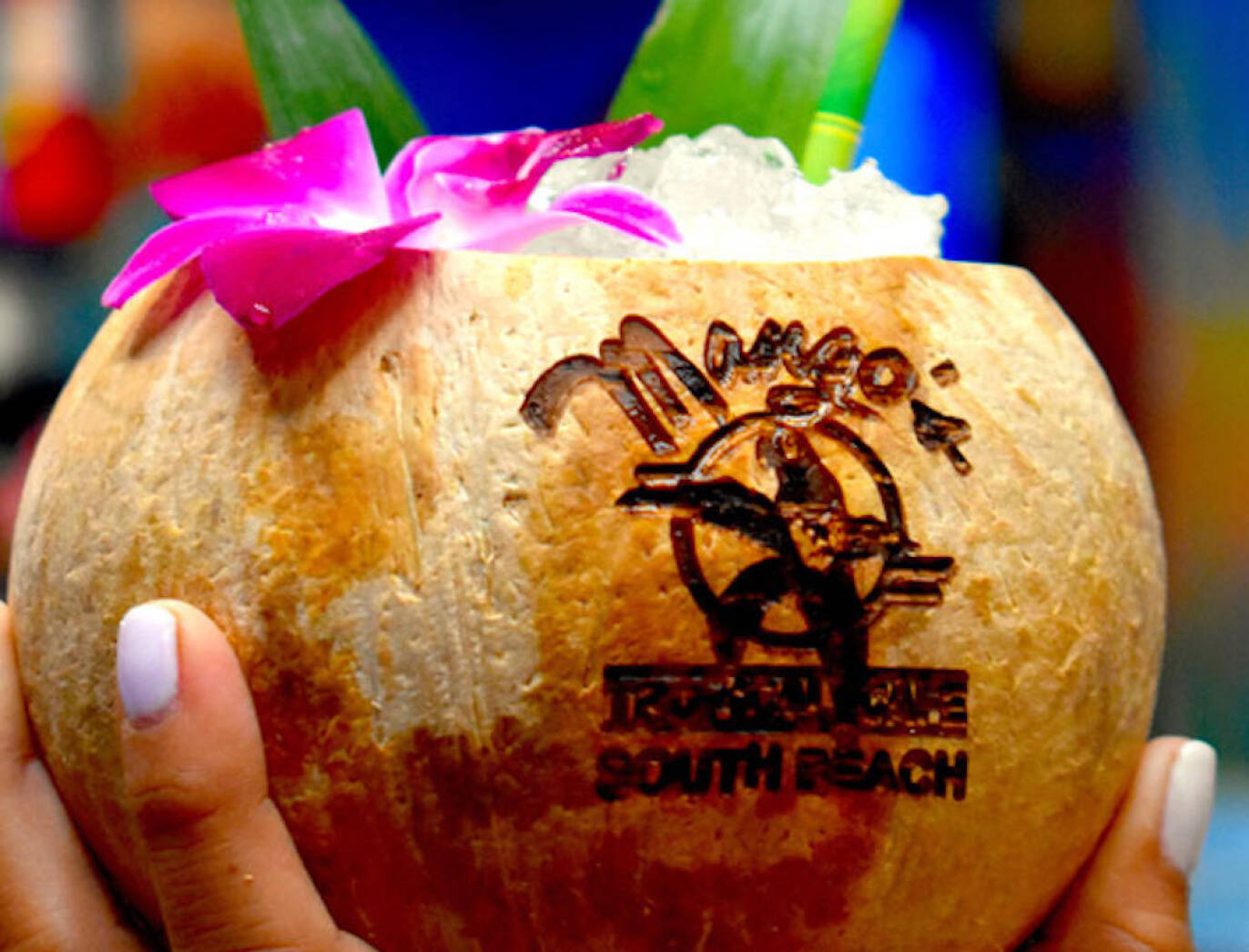 10 Miami Cocktail Experiences Everyone Should Have