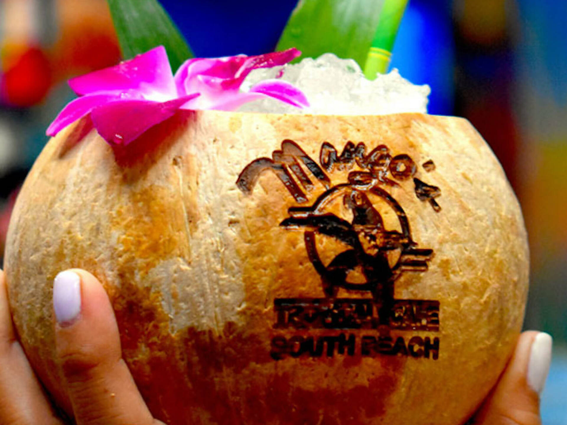 10 Miami Cocktail Experiences Everyone Should Have