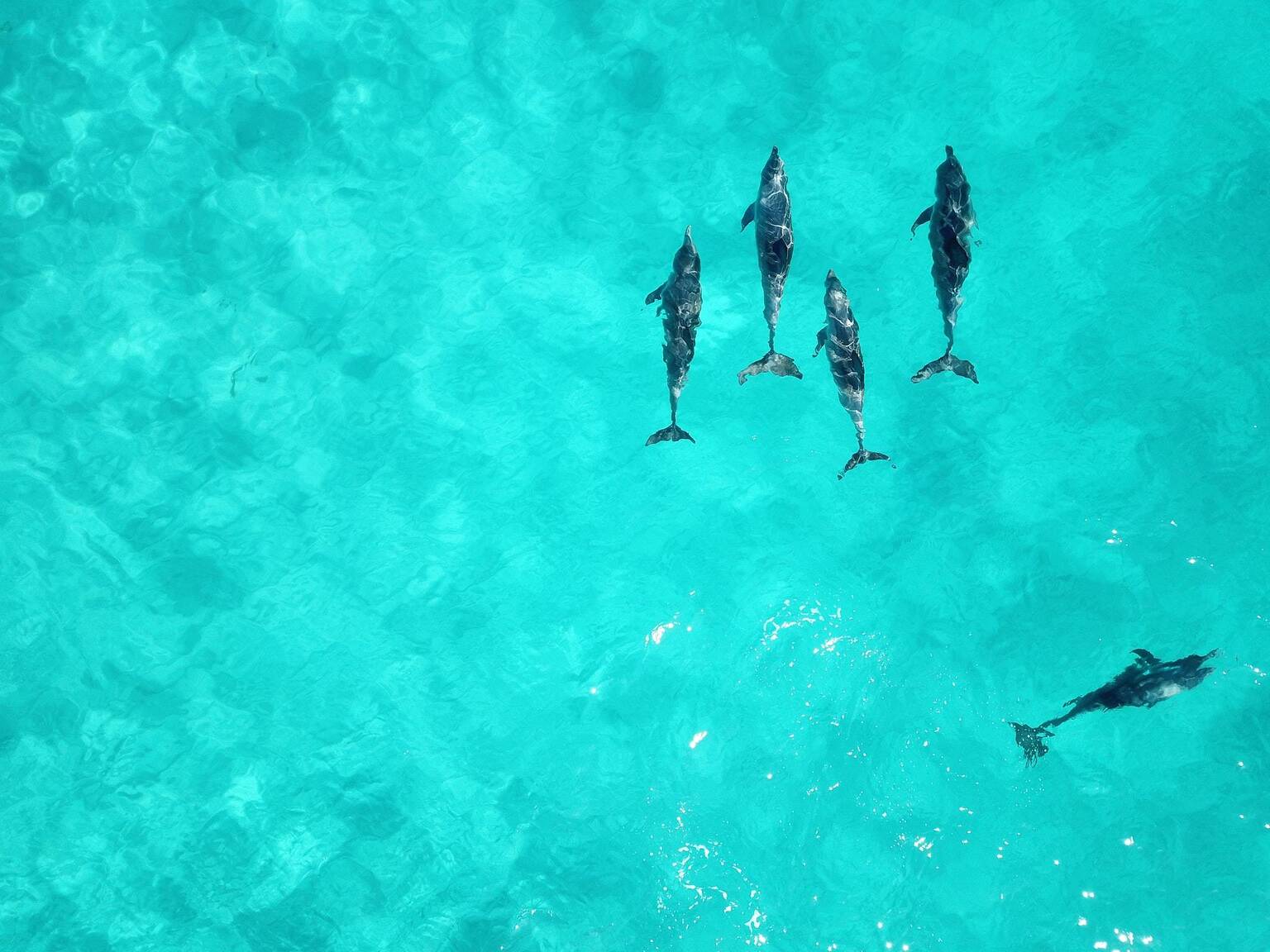 10 Best Virtual Travel Experiences From Home