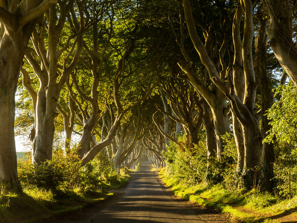 33 Best Things To Do in the UK Right Now