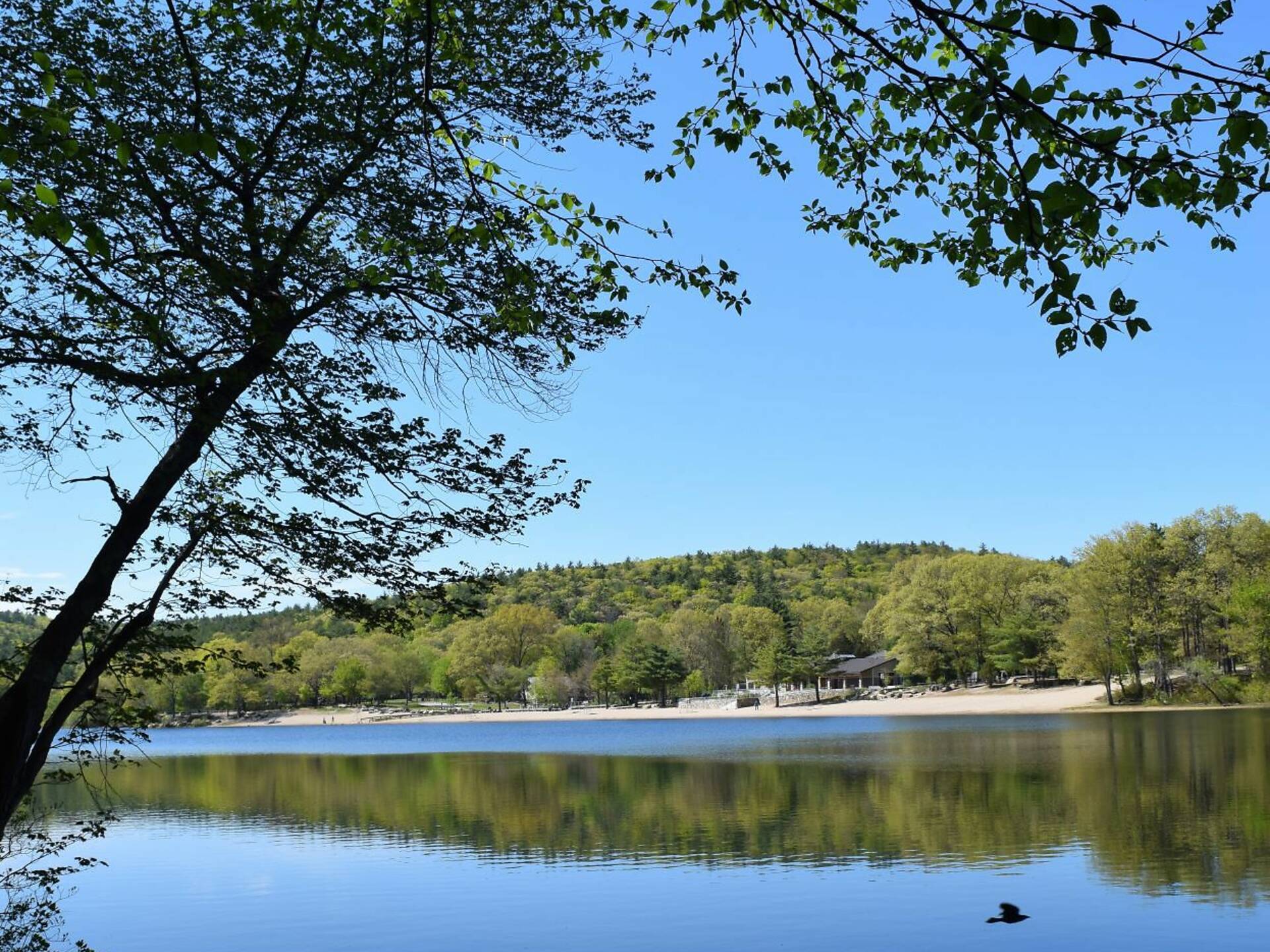 Best Hiking Near Boston: 12 Trails, Nature Preserves & State Parks