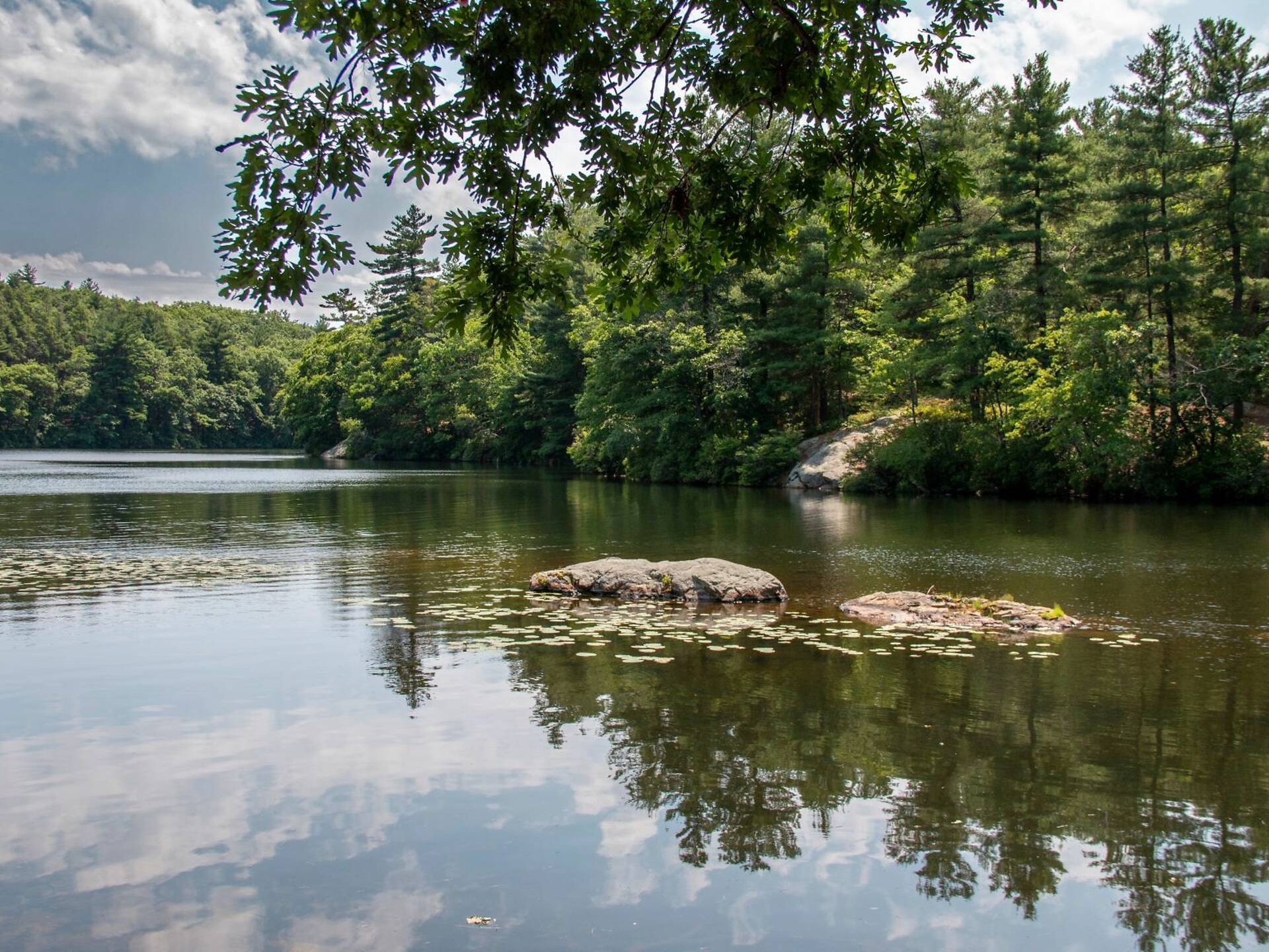 Best Hiking Near Boston: 12 Trails, Nature Preserves & State Parks