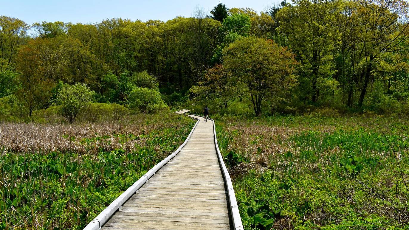 Things to do in and around Boston | Time Out Boston